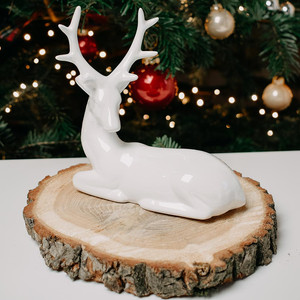 Nature Home - lakberendezés, lakásdekoráció és szárazvirág