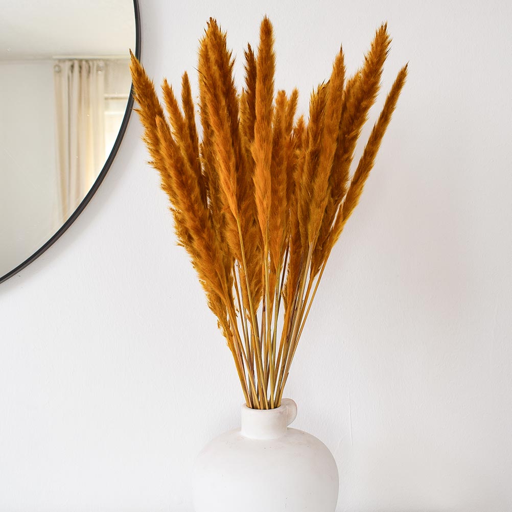 Szárazvirág - pampafű - vékony - okker